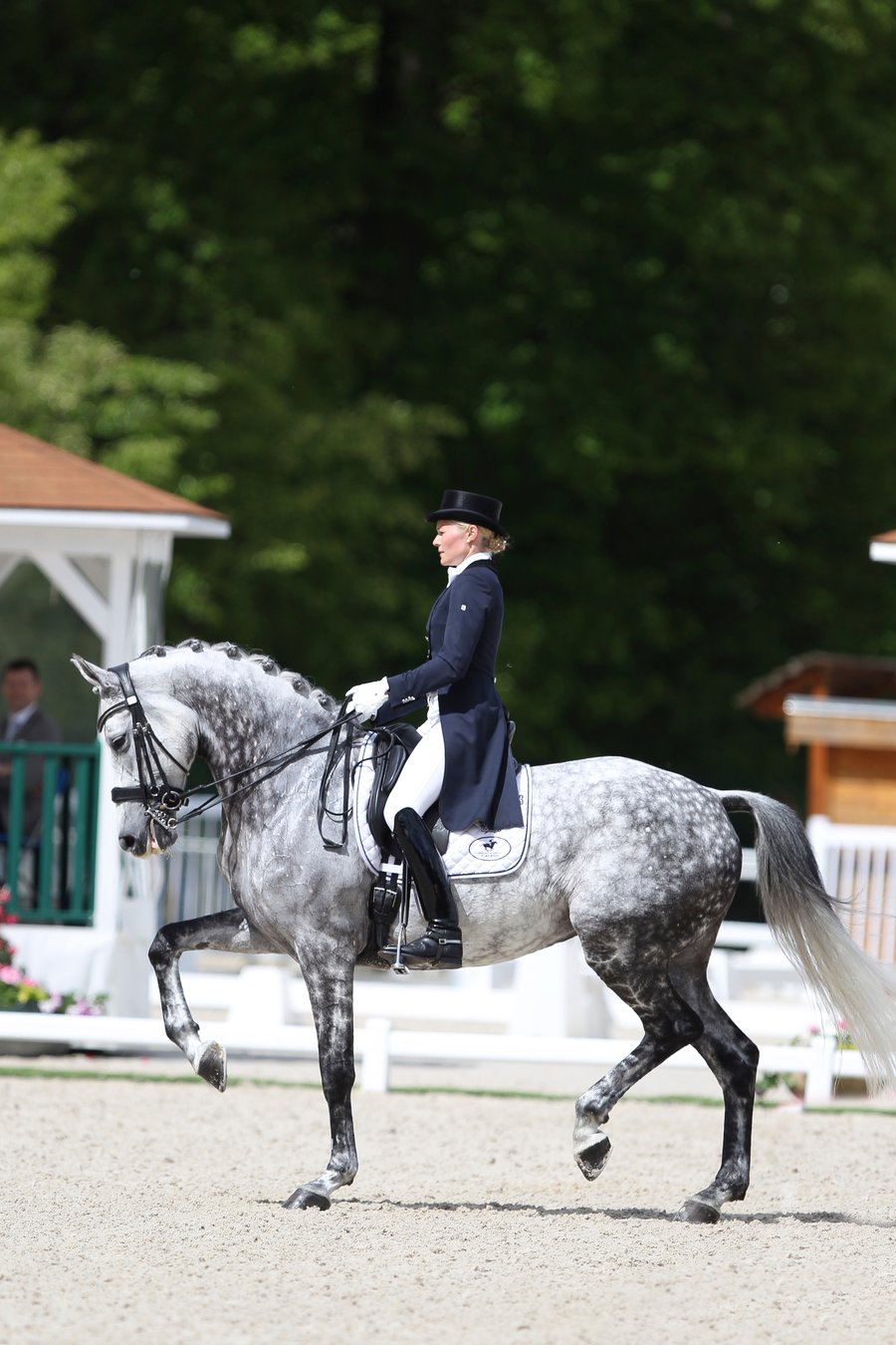 Anna Blomgren: I've Had Such Great Results, I Keep all My Horses on ...