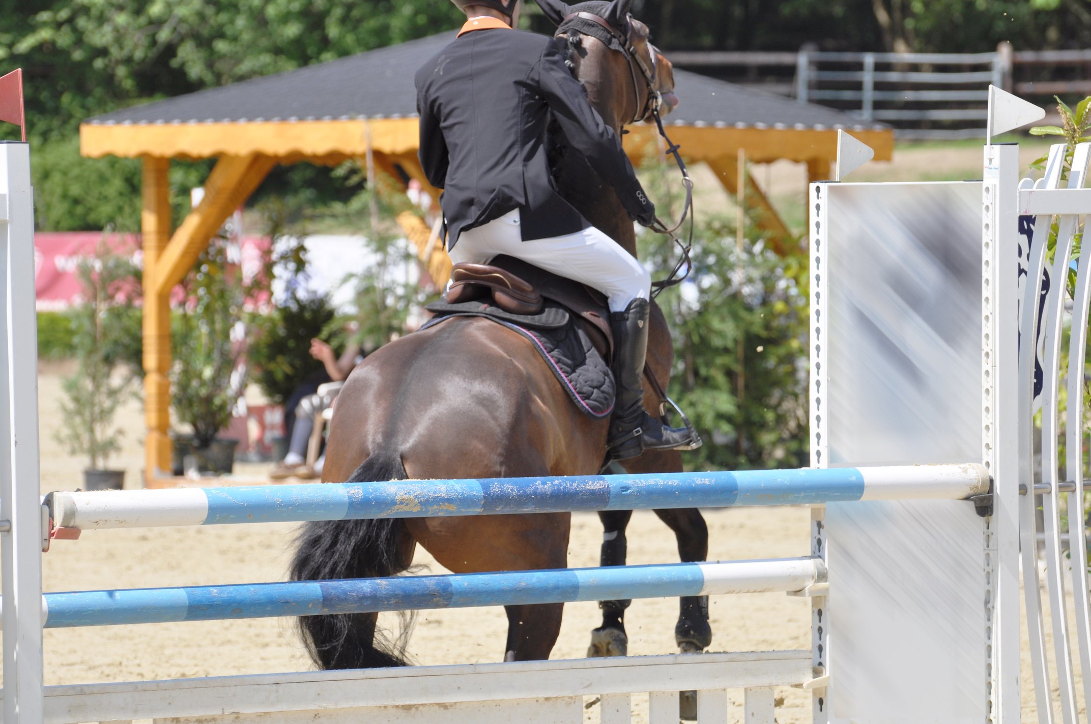Welke symptomen wijzen op maagzweren bij paarden?