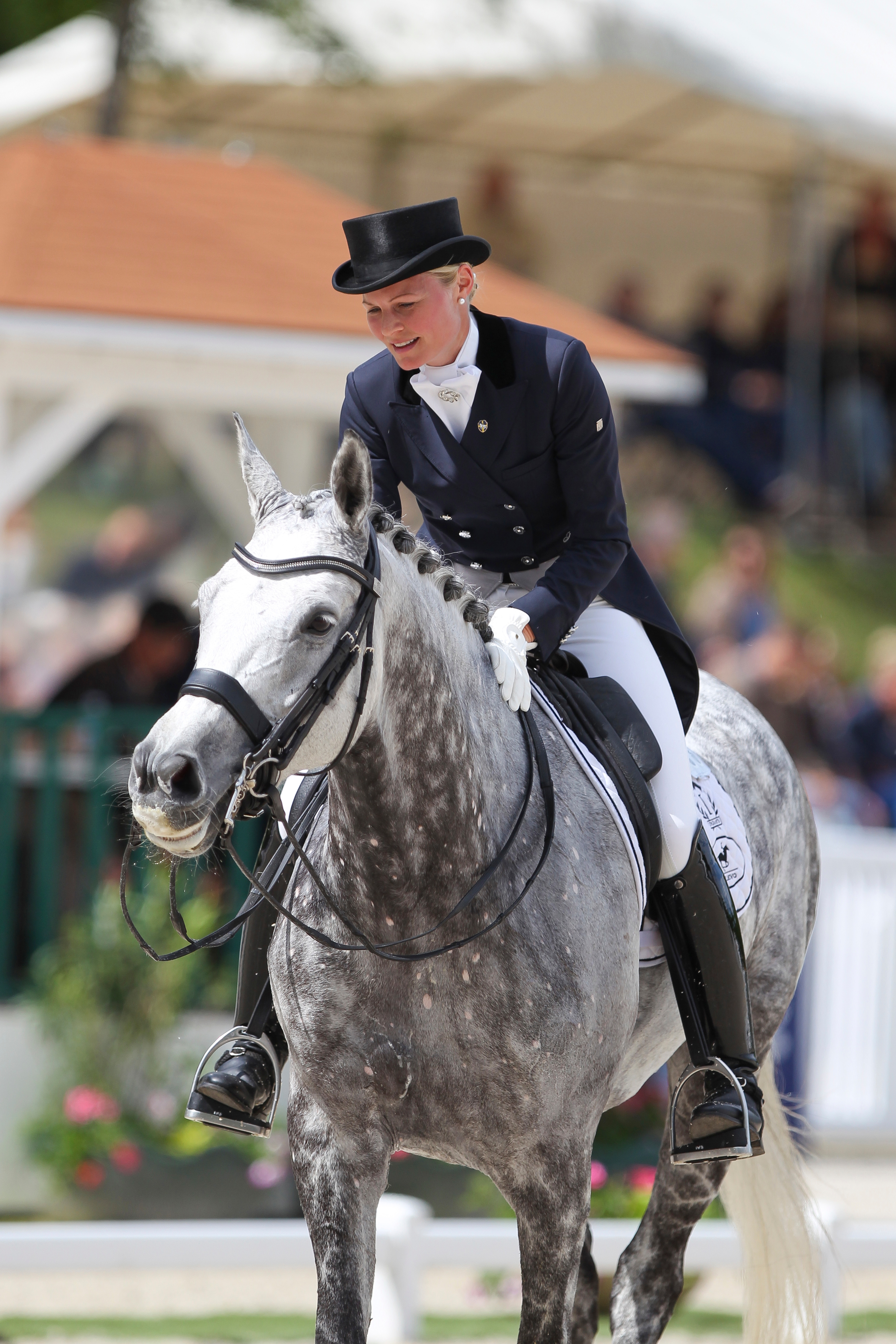 Anna Blomgren: I've Had Such Great Results, I Keep all My Horses on ...