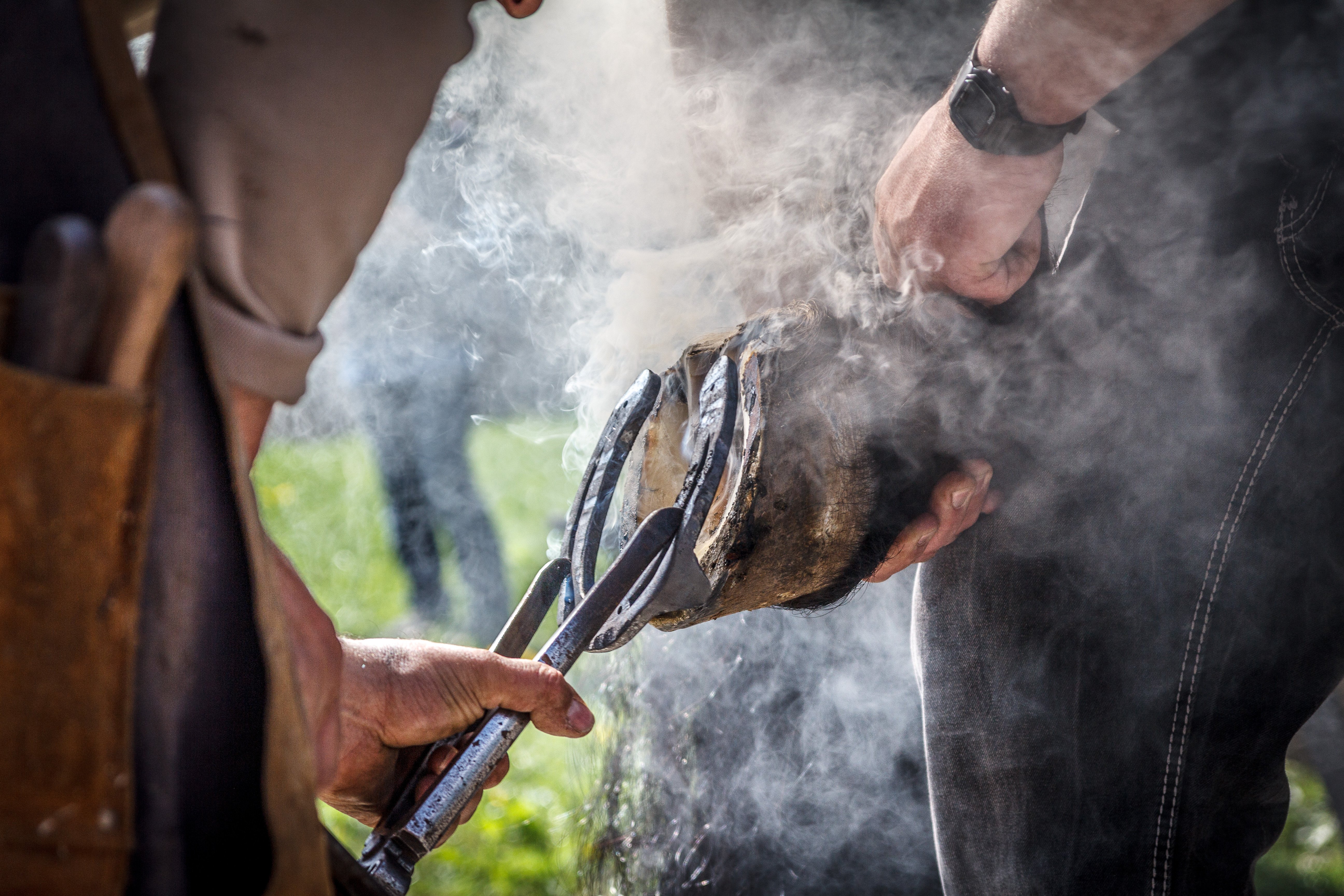 Understanding and Managing Stress Symptoms in Horses