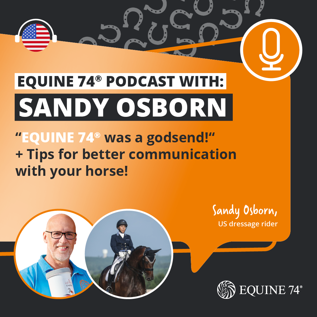 In conversation with Sandy Osborn