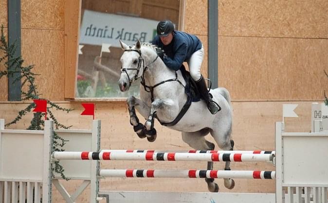 Kann eine Kolik beim Pferd ein Symptom eines Magengeschwürs sein?